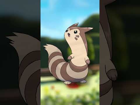 WTF is Furret?! | EVERY Pokémon Design Explained