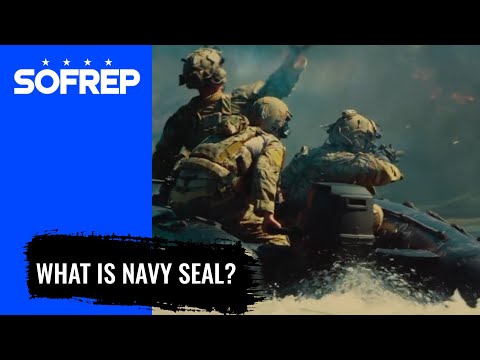 What is a Navy SEAL?