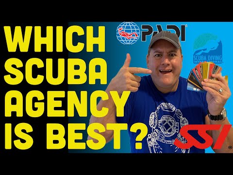 Which Scuba Diving Training Agency Should You Learn To Dive With?