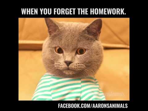 When you forgot to do homework – How to write a literature review ...