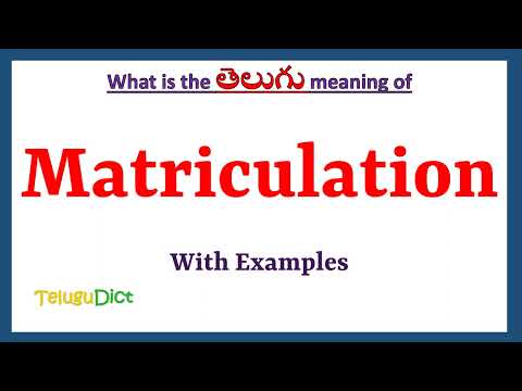 Matriculation Meaning in Telugu | Matriculation in Telugu | Matriculation in Telugu Dictionary |