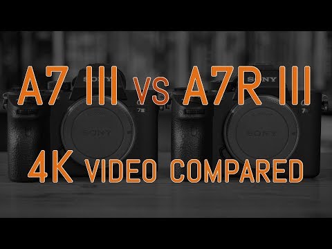 Sony A7 III vs A7R III - 4K Video Comparison