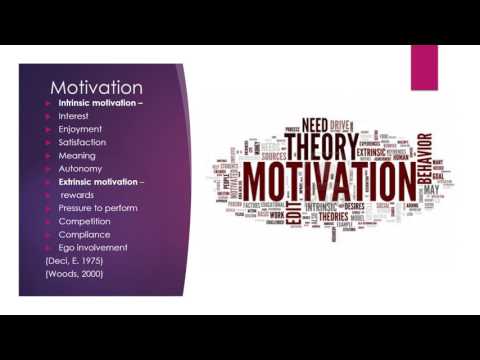 Introduction to sport and exercise psychology 4SR008 audio video