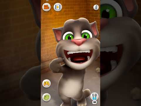 Talking Tom Cat #shorts #talkingtom #funny