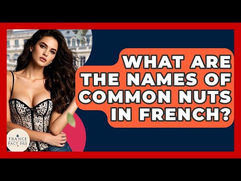 What Are The Names Of Common Nuts In French? - France Fact File