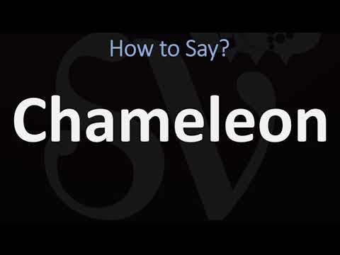 How to Pronounce Chameleon? (CORRECTLY) UK, US Pronunciation