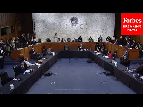 Senate Holds Hearing On Congressional Oversight And Executive Privilege