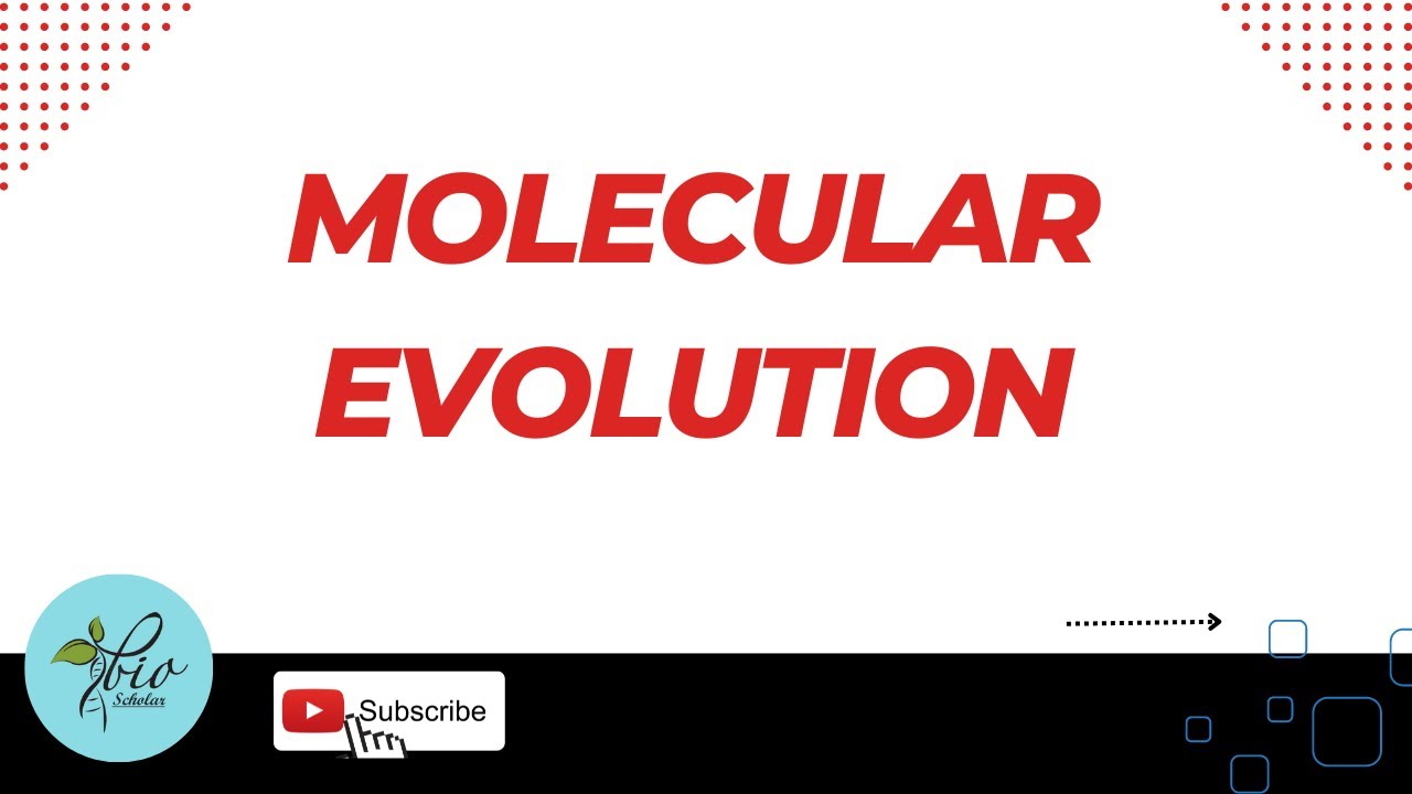 Molecular Evolution - What is molecular evolution? - Phylogenetics || Biology || Bioinformatics.