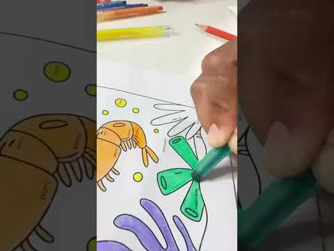 Music Coloring Book.#coloringbook #musicteacher