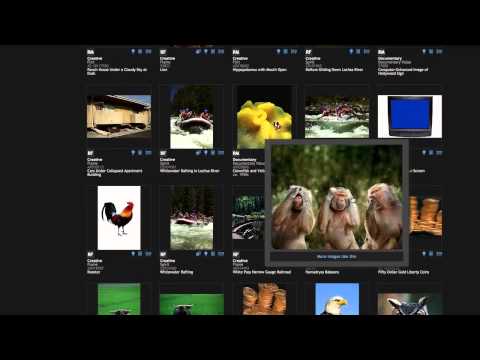 How Much Money Does a Photographer Make a Year