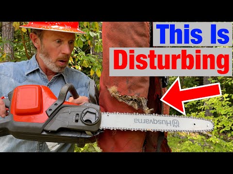 Electric Chainsaw vs Chaps - Not What I Was Expecting!