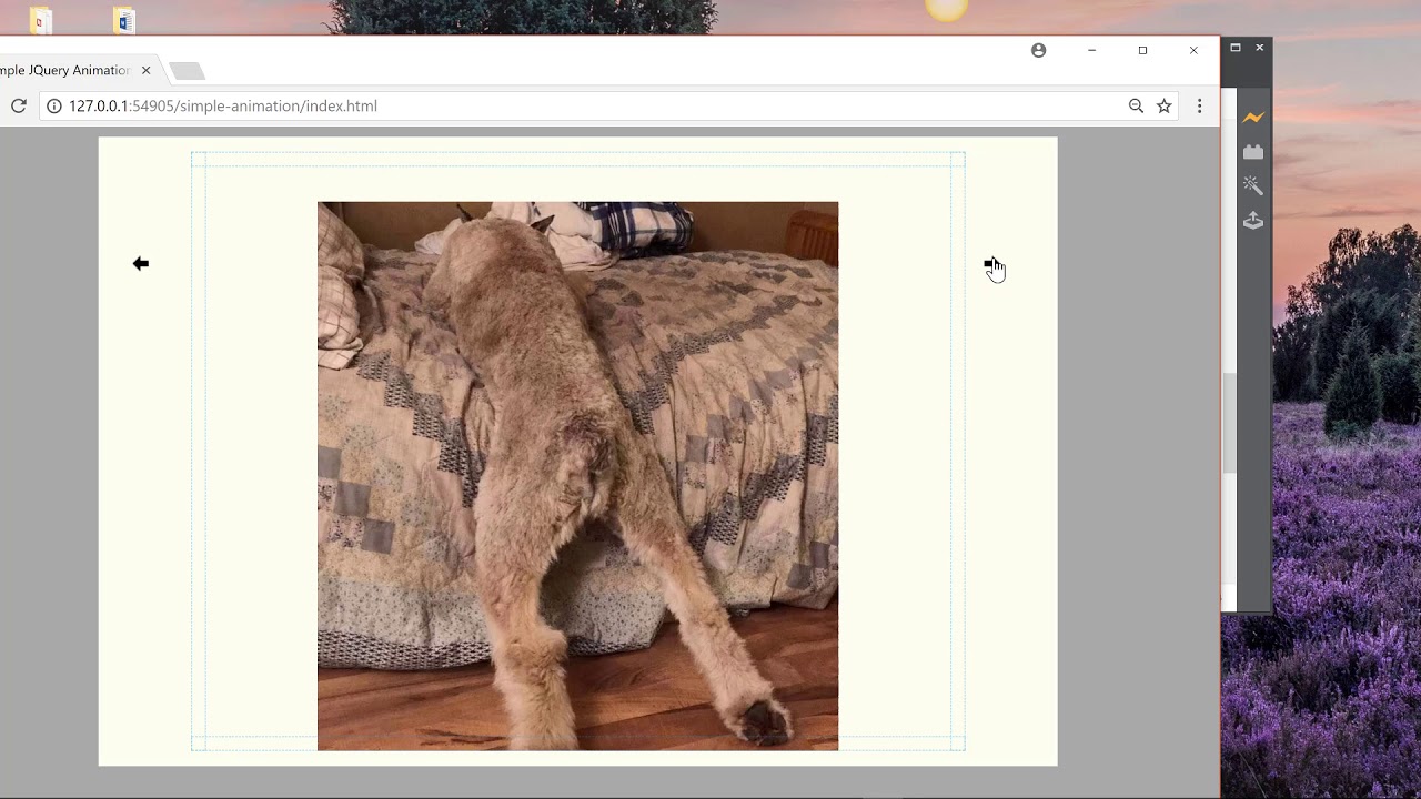 JQuery - animate / carousel