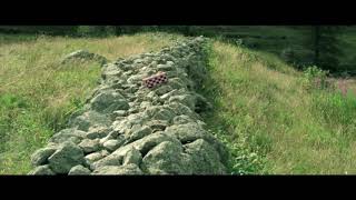 Minuscule.....valley of the lost Ants....