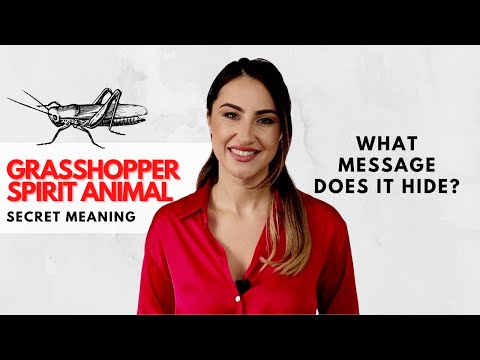 Grasshopper Spirit Animal - Secret Meaning
