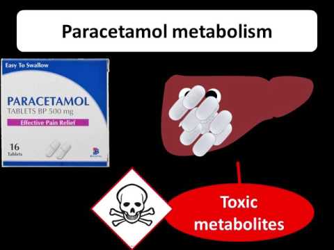 Medicines Safety - Paracetamol Combination Products Part 2