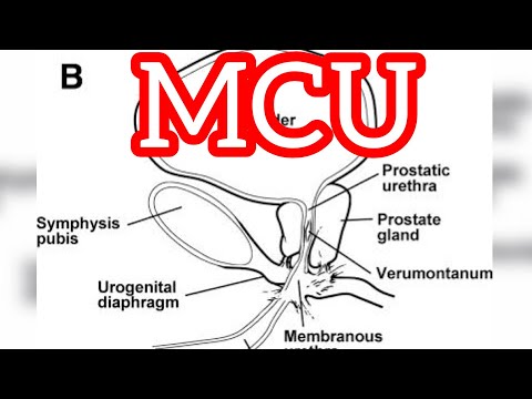 MCU Procedure | Radiographer procedure | urology