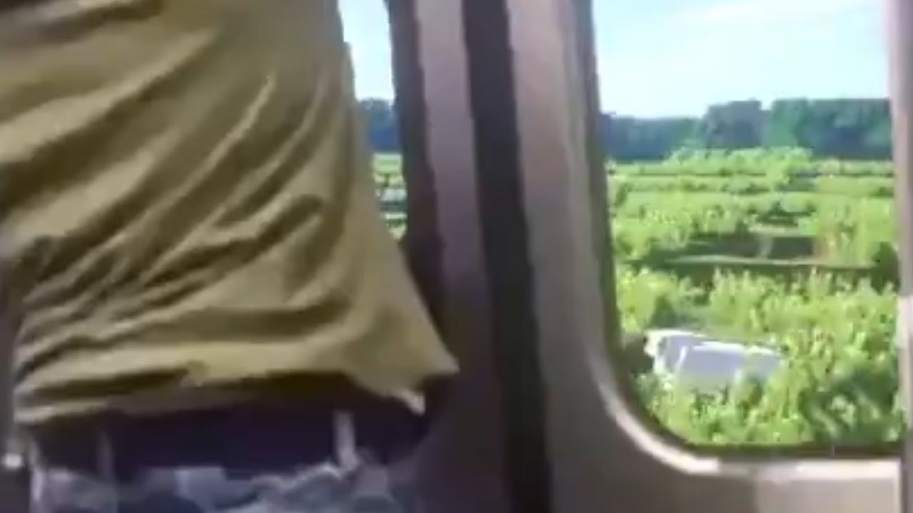 UNUSUAL MEMES COMPILATION V92