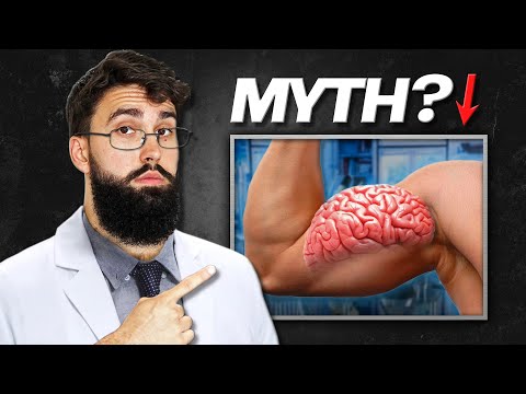 Is MUSCLE MEMORY real? (Science Explained)