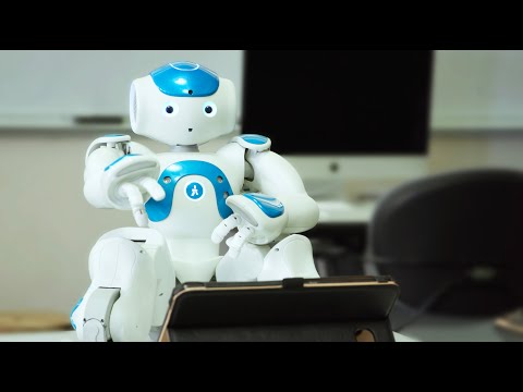 Social Robots