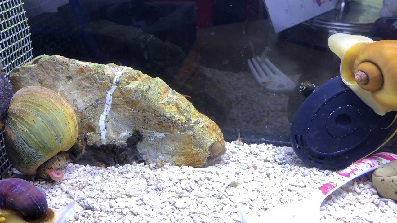 Co-Design  Preface and Acknowledgement