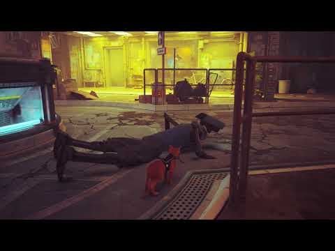 Steam Community :: Video :: Stray - The most funny way to play with ...
