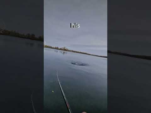 The definition of a MONSTER fish π³π£