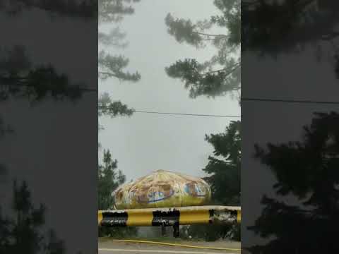 Beautiful Foggy Weather Of Galiyat #beautiful #fog #weather #galiyat #trending #shortvideo #shorts
