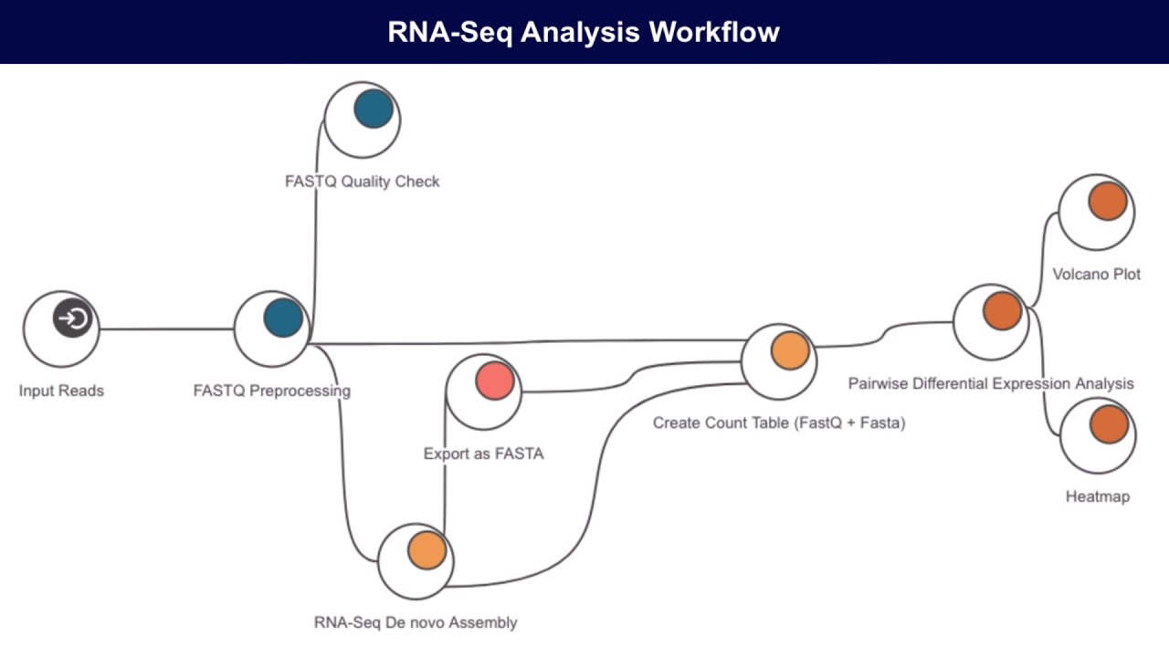 RNA-Seq Features in OmicsBox/Blast2GO