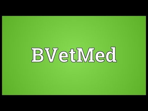 BVetMed Meaning
