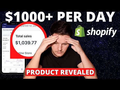 I Quit My $1000 Per Day PROFITABLE Shopify Dropshipping Store