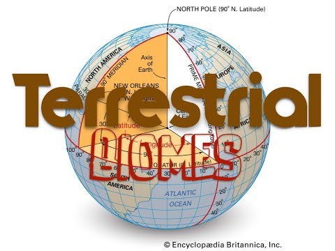 Terrestrial Biomes