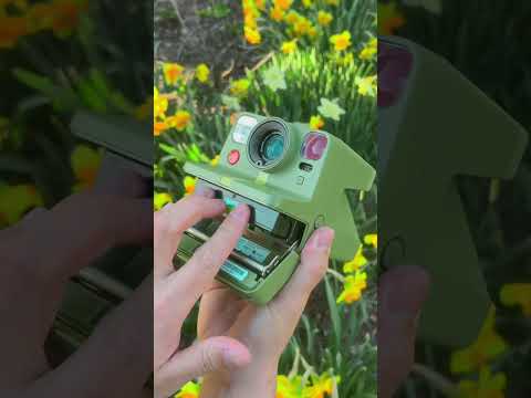 Examples from a Polaroid Now+ Camera!