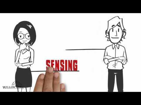 What's My Personality: Sensing or Intuition? | 5 Minute MBTI