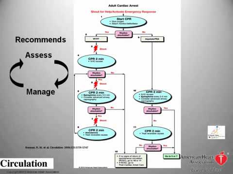 ACLS 2010 American Hearth Association (AHA) | Puskesmas Lakessi