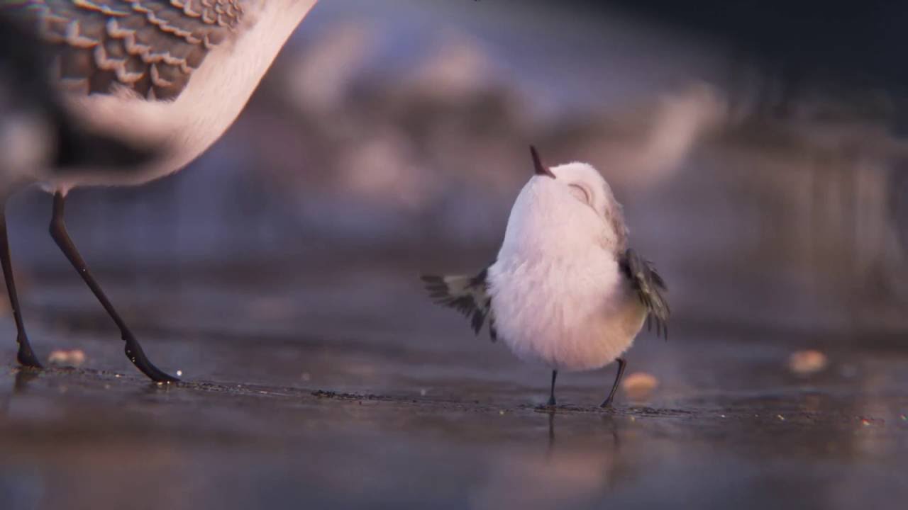 PIPER | First Look | Official Disney UK