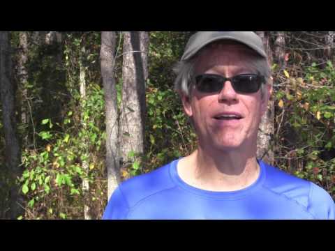 Rescuing Barrens Topminnows During A Drought