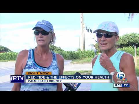 Red tide and the effects on your health