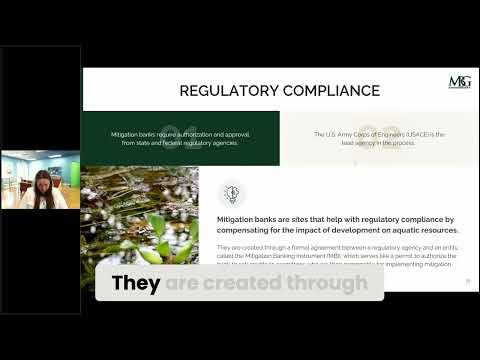 How Mitigation Banks Offset the Environmental Impact of Development