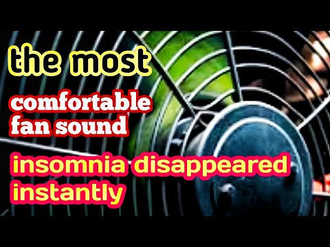 Wait... Is This Just a Fan Sound? | Black Screen Sleep Noise for Deep Relaxation & Fast Sleep