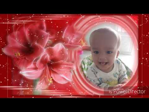 Susu tivi 3