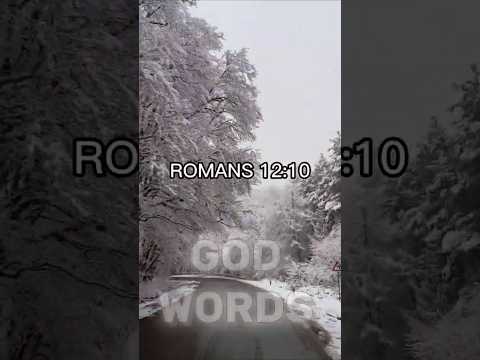Romans 12:10. Be kindly affectioned one to another #bibleverse