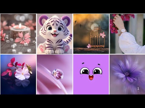 Whatsapp Dp Photo Instagram Dpz For Girls/Profile PicsπProfile Images Instagram Profile Pic/Cute