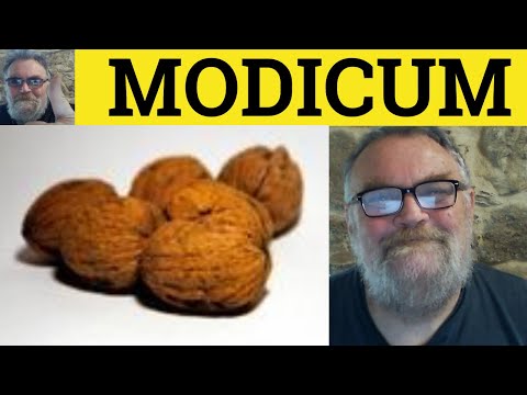 🔵 Modicum Meaning - Modicum Of Examples - Modicum Definition - Modicum Defined - Formal English