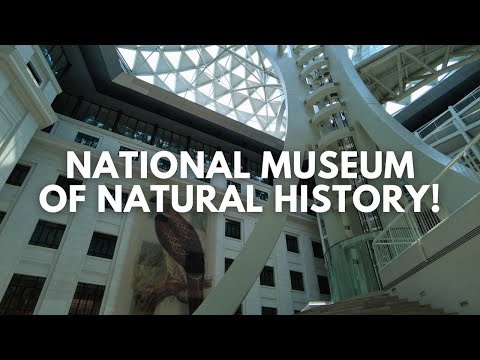 National Museum of Natural History | Walking Tour | Manila Philippines