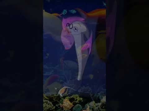 The Incredible Mr. Limpet | Don Knotts Lady Fish Movie Clip