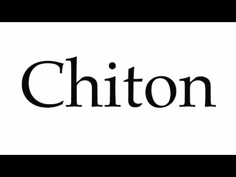 How to Pronounce Chiton