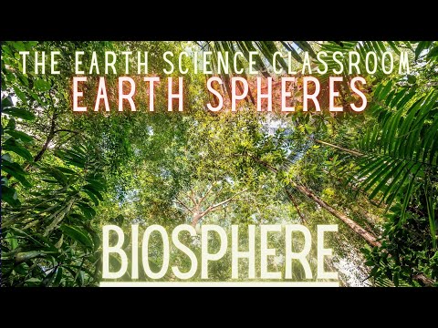 What Is The Biosphere?