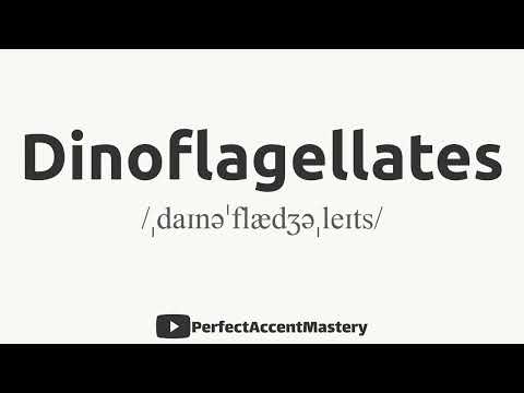 How to Pronounce DINOFLAGELLATES | IPL | Definition | Perfect Accent Mastery