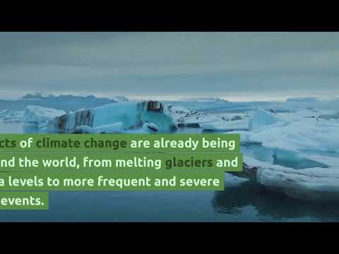 Fossil Fuels: What They Are and Their Impact on the Environment?