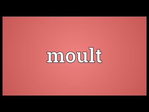 Moult Meaning